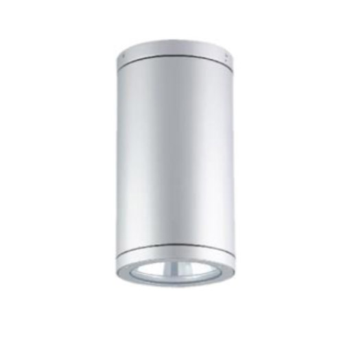 Lifelight PRO Cylinder Surface Mount | Clevertronics NZ: Emergency Exit ...